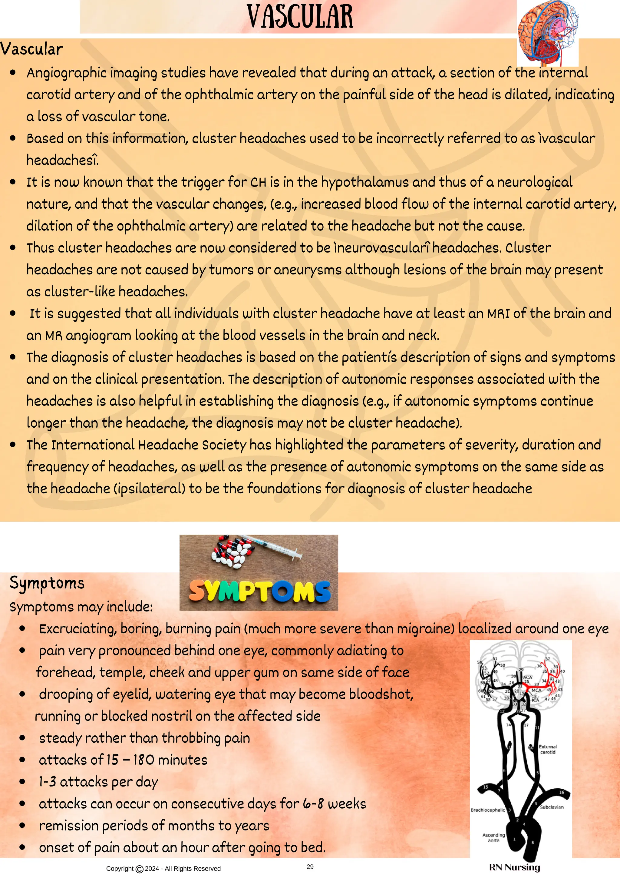Brain Disorder.pdf full simplified brain disorder assessment and action ...