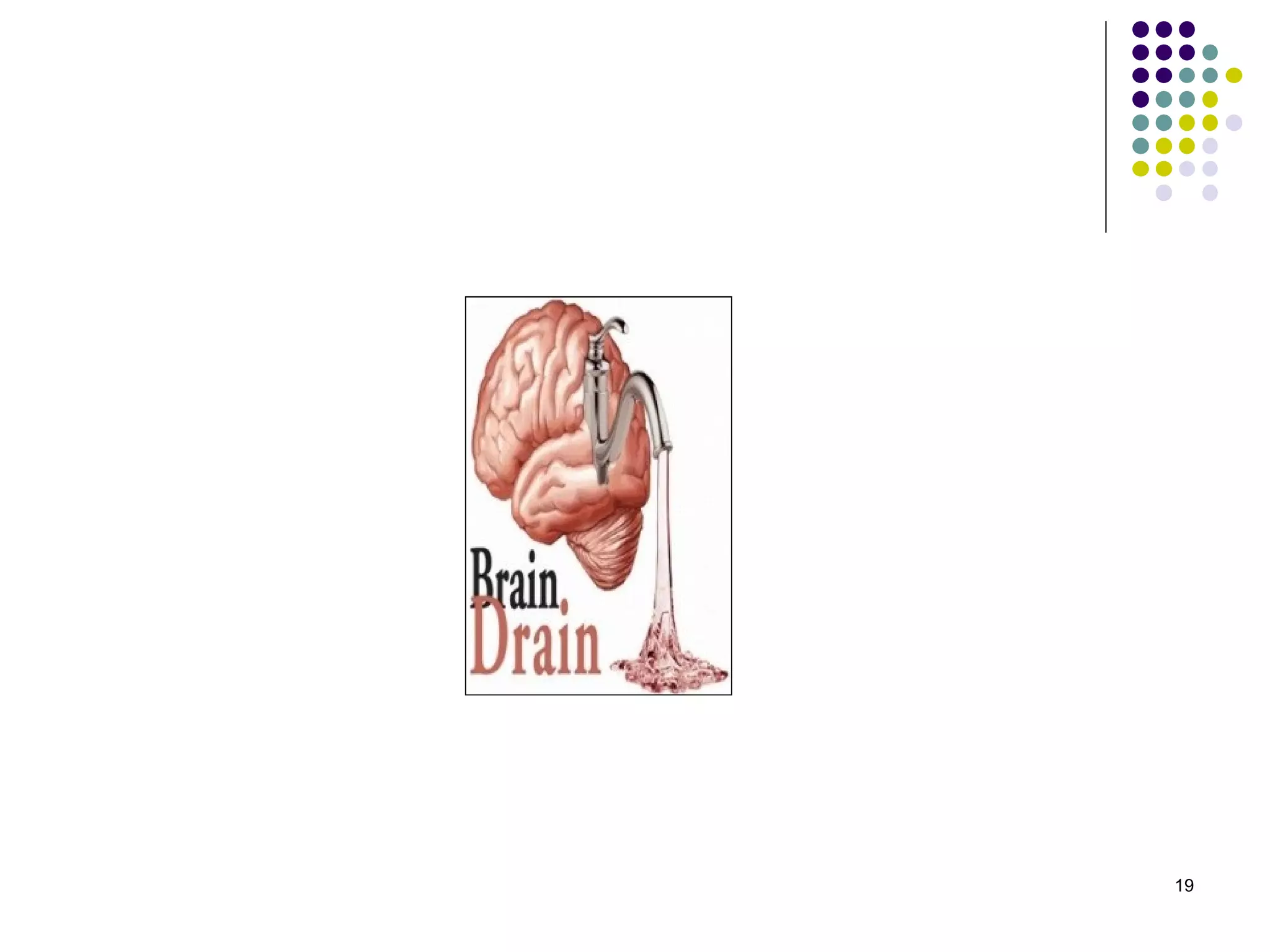 Arab Brain Drain | PPT