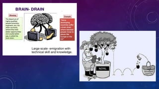 Brain drain | PPTX