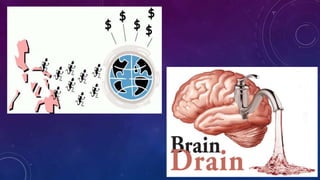 Brain drain | PPTX