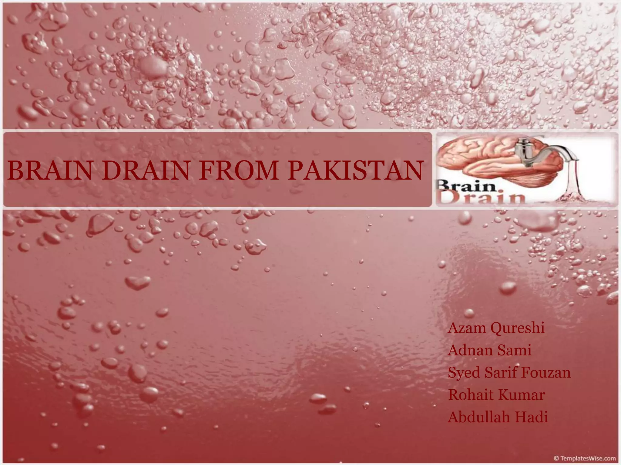Brain drain from pakistan by adnan & co. | PPTX