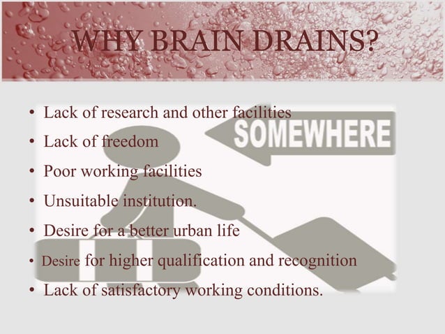 Brain drain from pakistan by adnan & co. | PPT