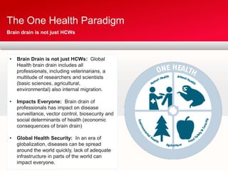 Global Governance Policy Addressing Brain Drain: Promoting Health ...