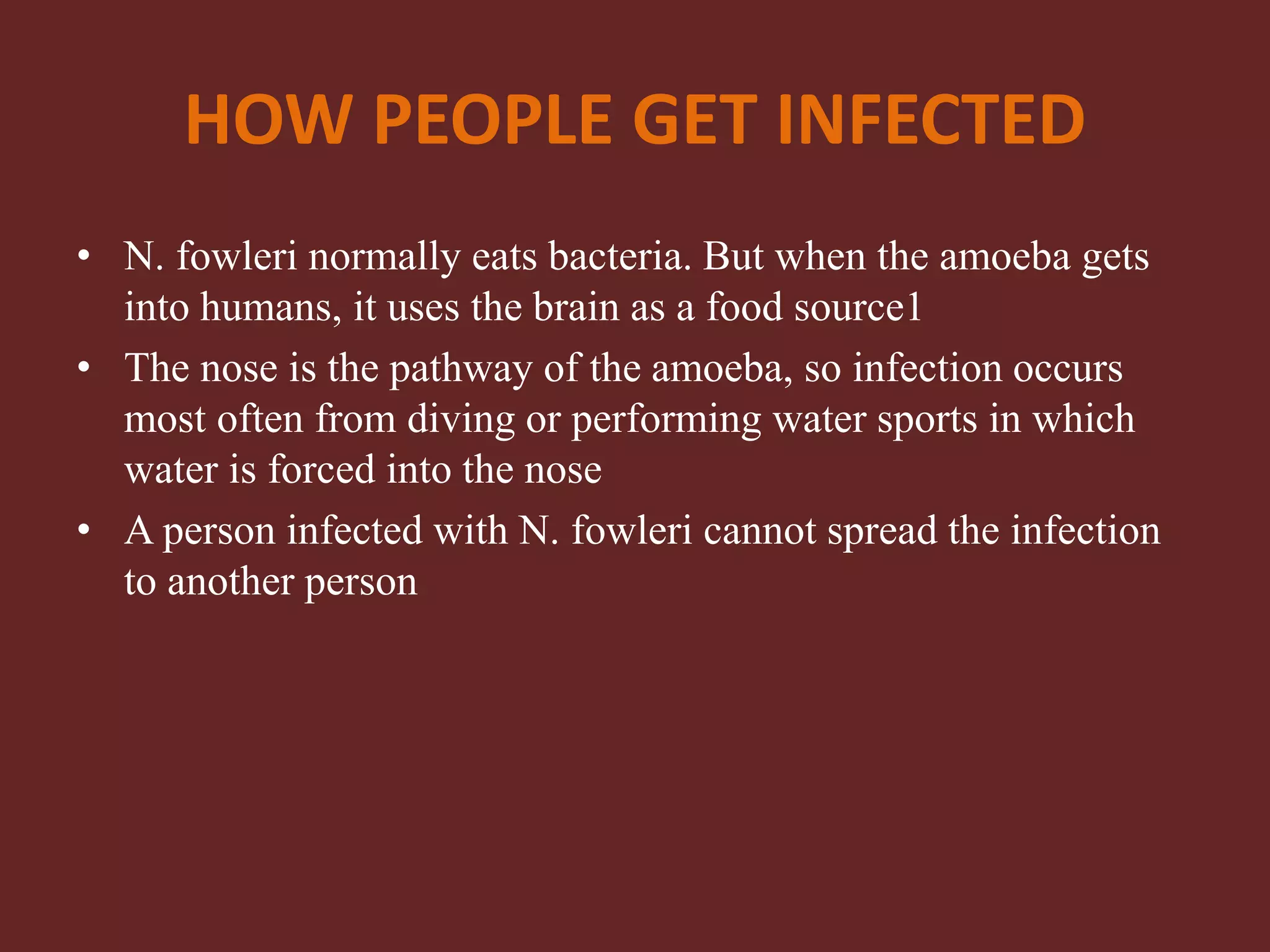 Brain eating amoeba | PPTX