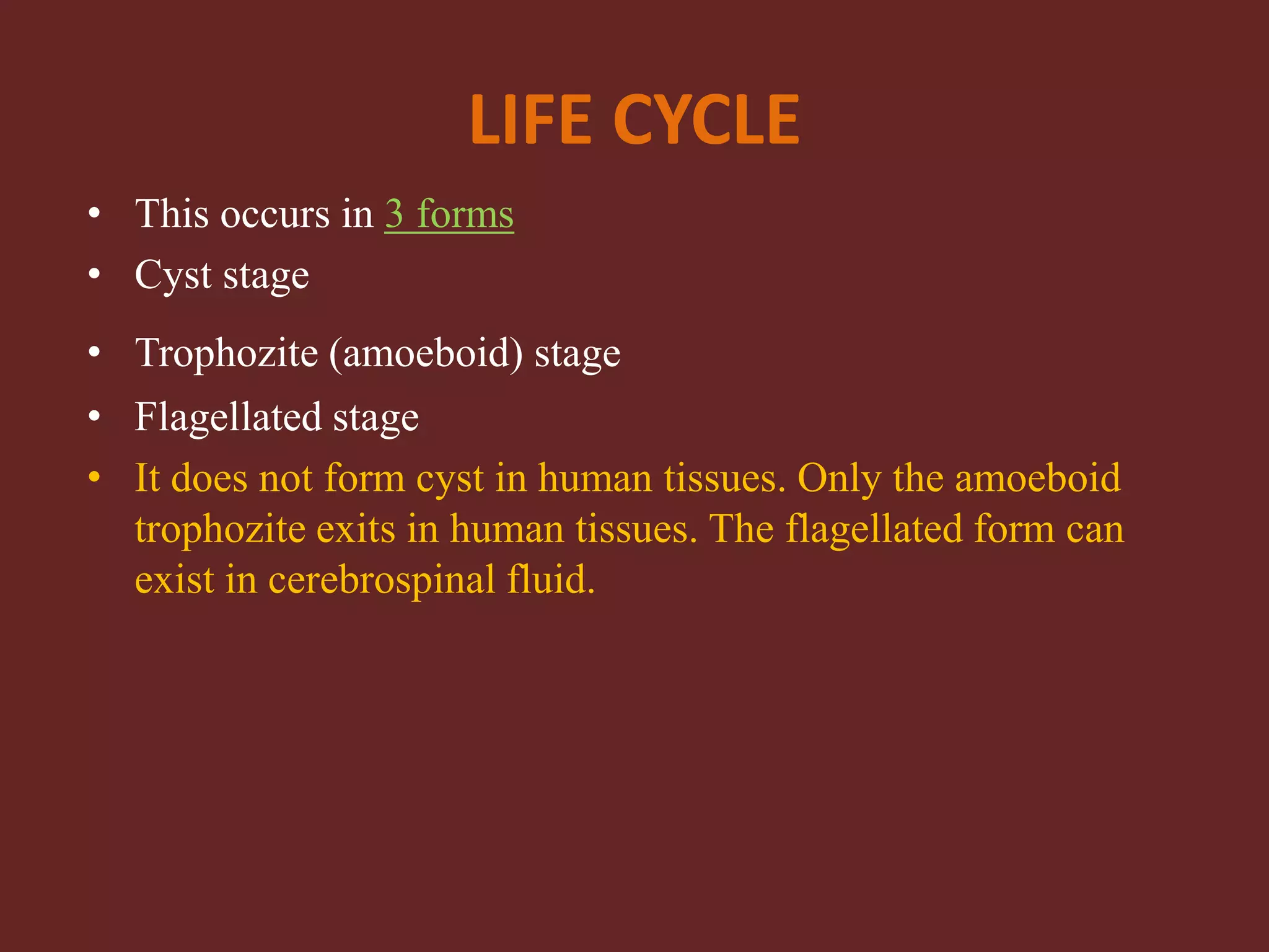 Brain eating amoeba | PPTX