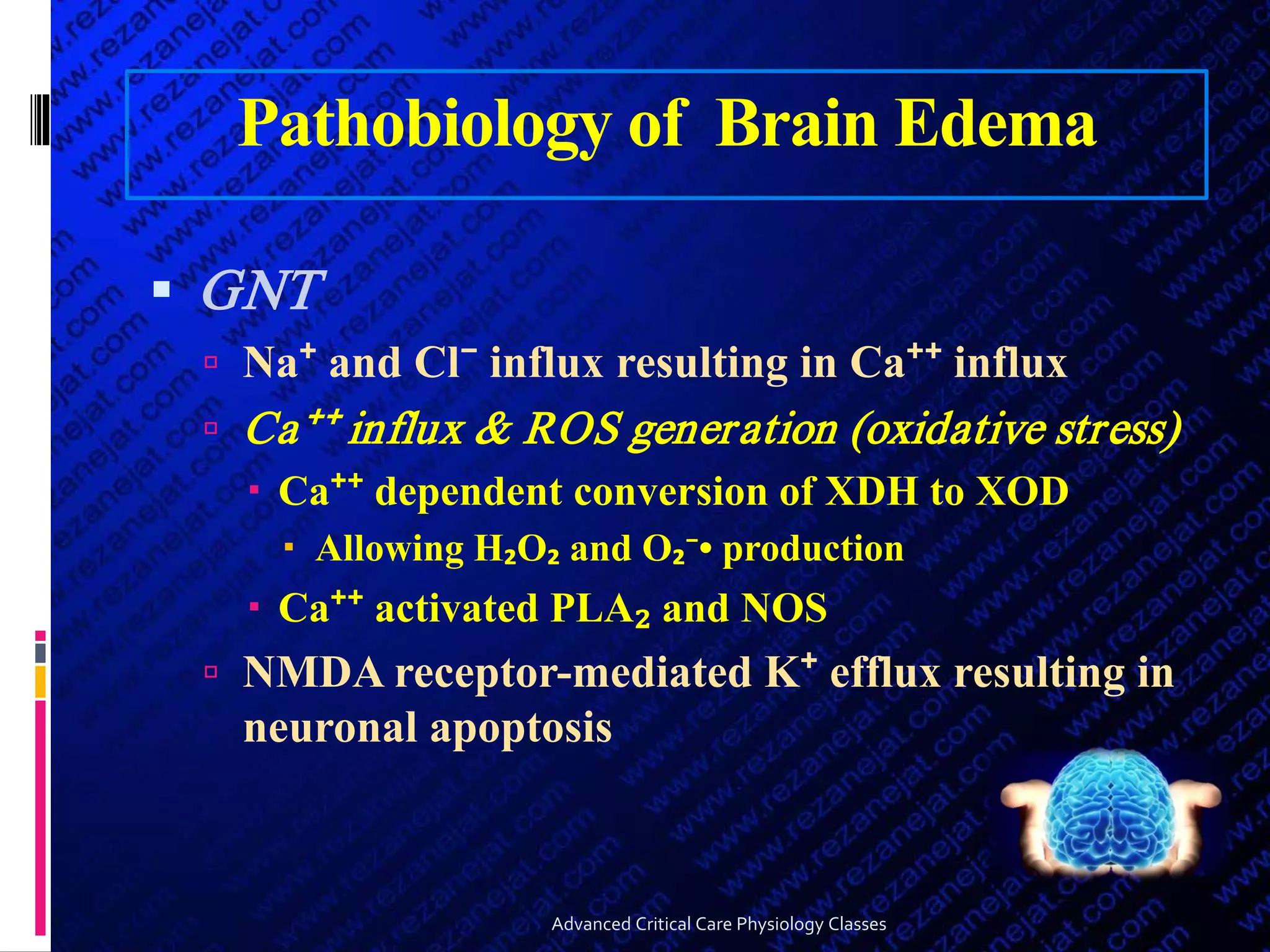 Brain edema23 | PDF