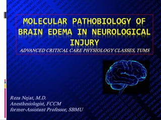 Brain edema23 | PPT