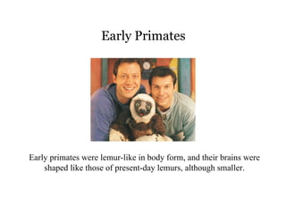 Brain evolution | PPT