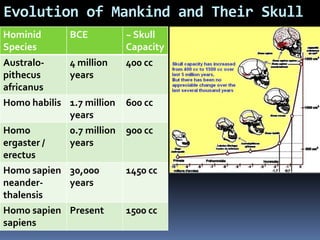 Brain Evolution Information Explosion - Sanjoy Sanyal | PPTX