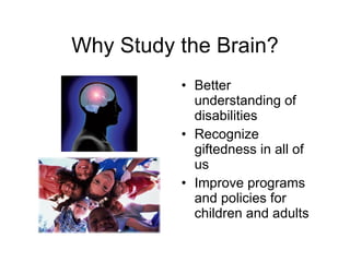 Brain Facts | PPT