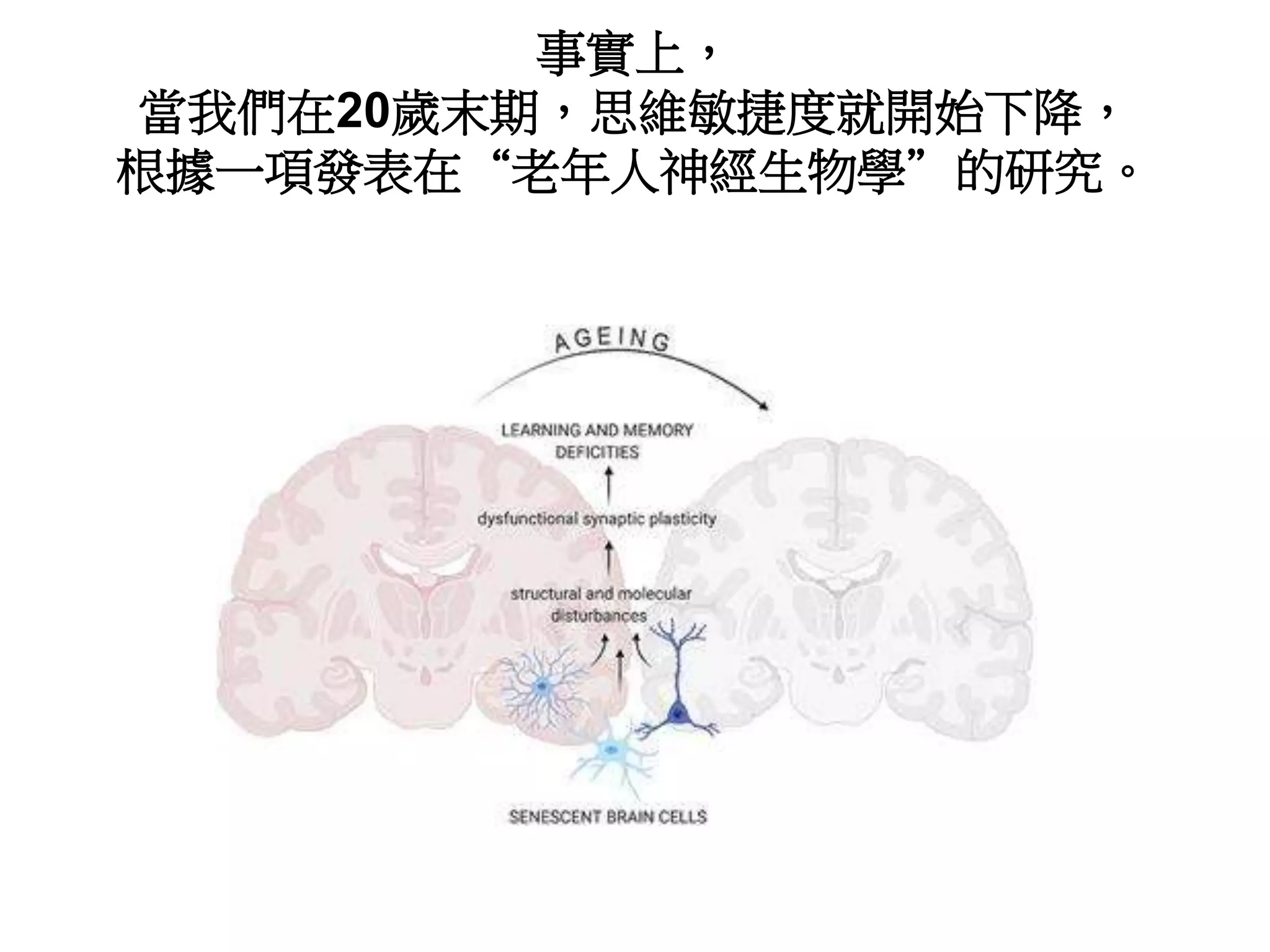 Brain Facts Series 04 - 5 Brain Myths—Busted.ppt