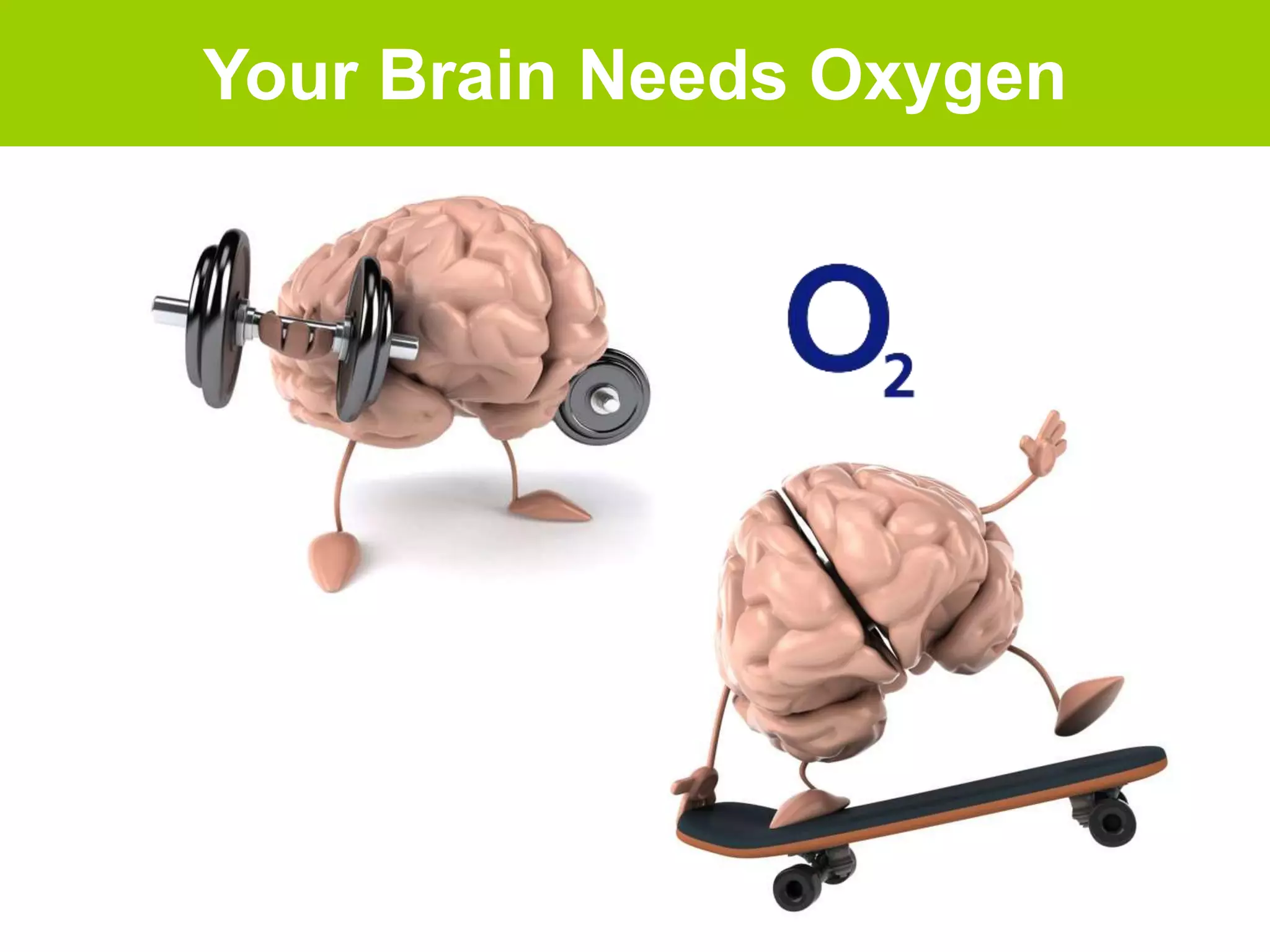Brain Facts Series 09 - Secrets of the Brain.ppt
