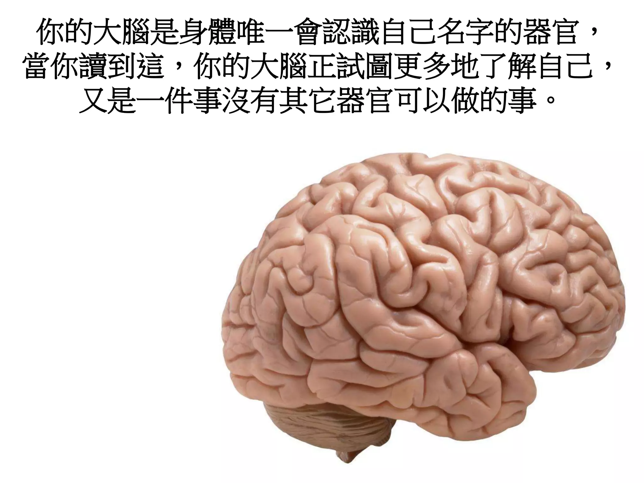 Brain Facts Series 12 - 8 Brain Myths Busted.ppt