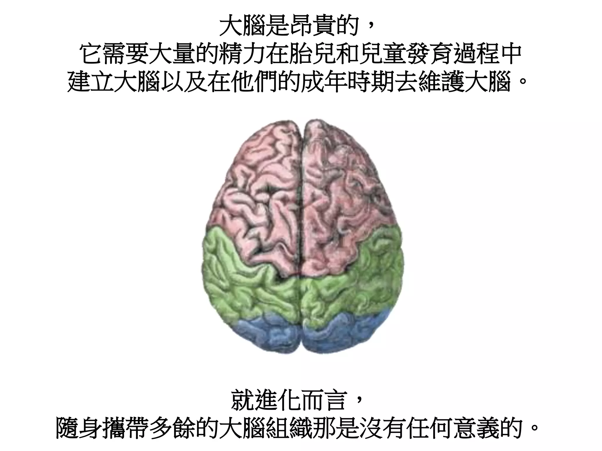 Brain Facts Series 12 - 8 Brain Myths Busted.ppt