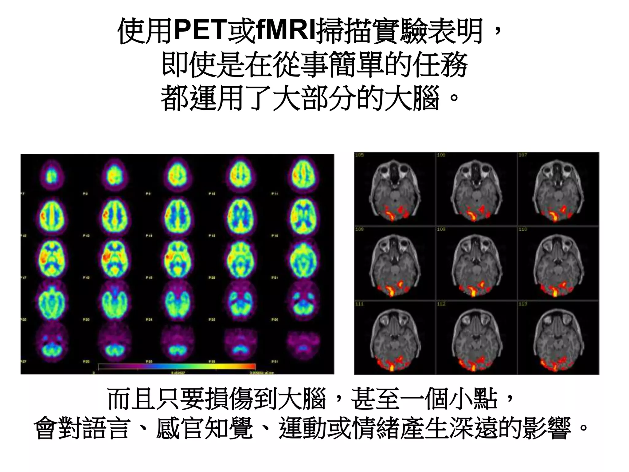 Brain Facts Series 12 - 8 Brain Myths Busted.ppt
