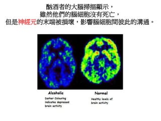 Brain Facts Series 12 - 8 Brain Myths Busted.ppt