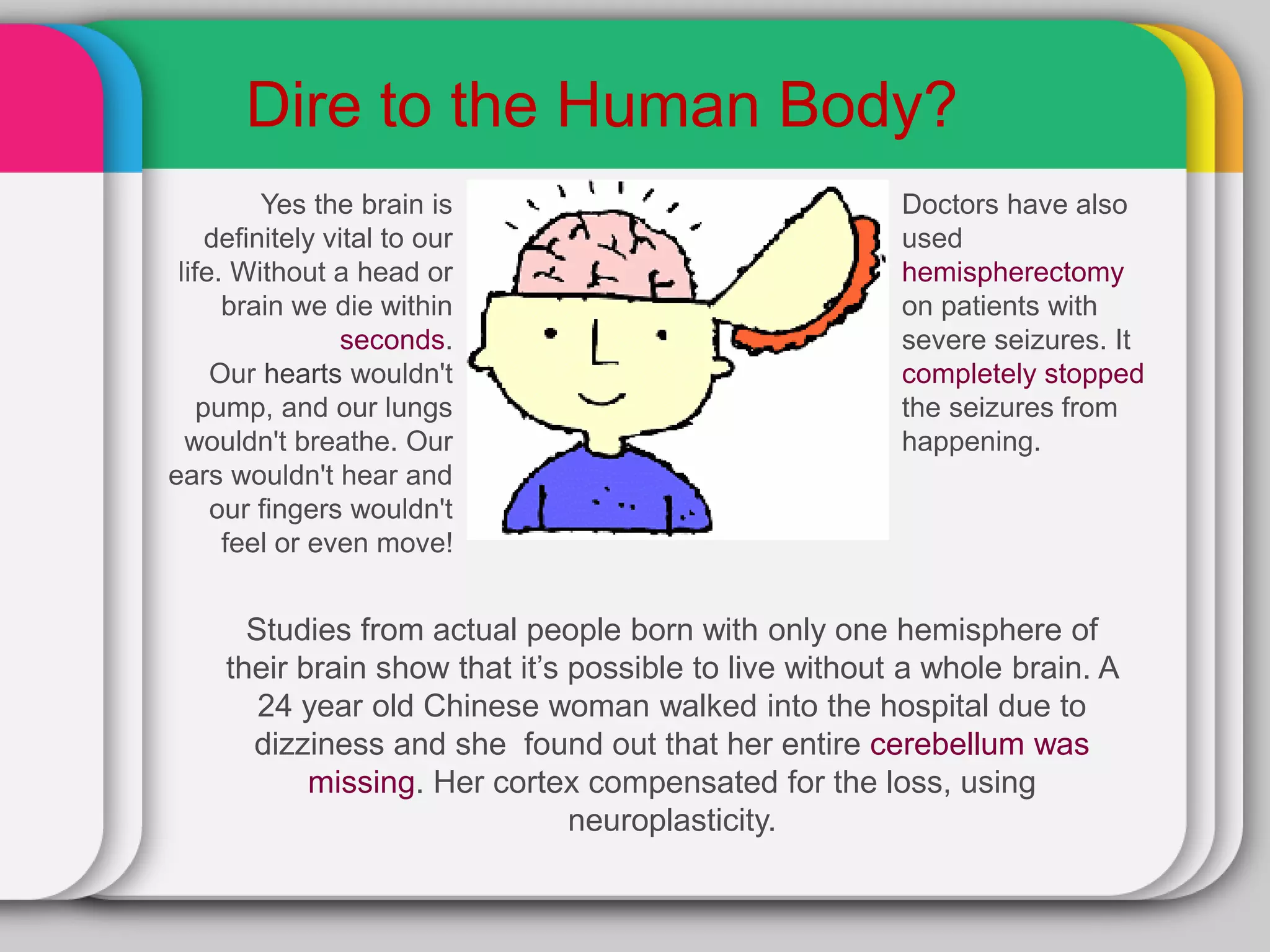 Our Amazing Brain | PPTX
