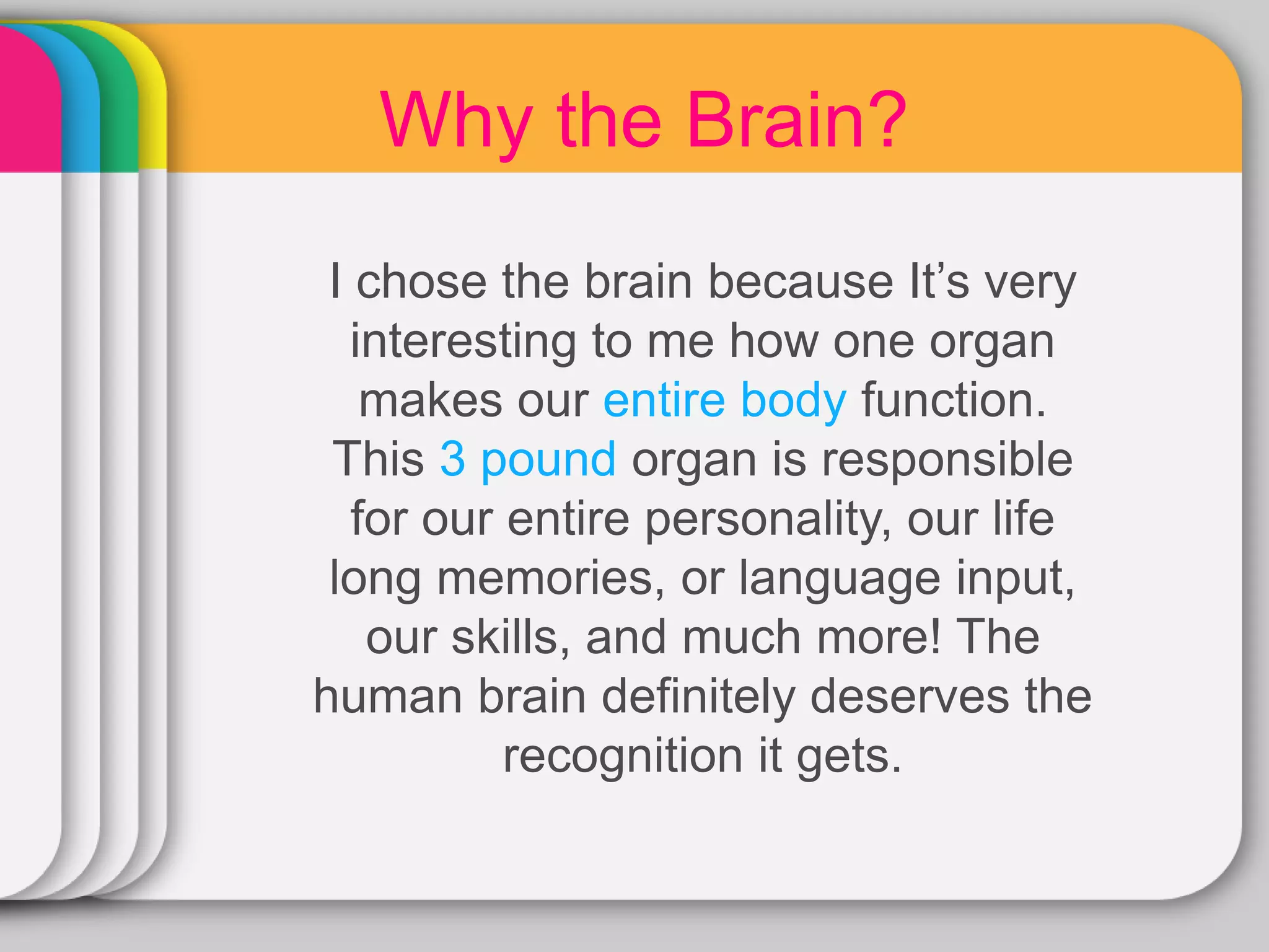 Our Amazing Brain | PPTX