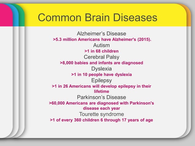 Our Amazing Brain | PPT