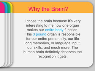 Our Amazing Brain | PPTX