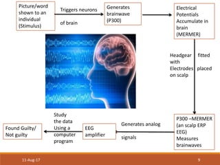Brain fingerprinting | PPTX | Brain and Nervous System Disorders ...