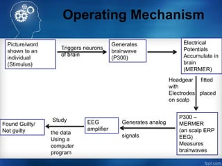 Brain fingerprinting by ankit 2017............ | PPT