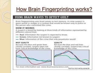 Brain fingerprinting | PPT
