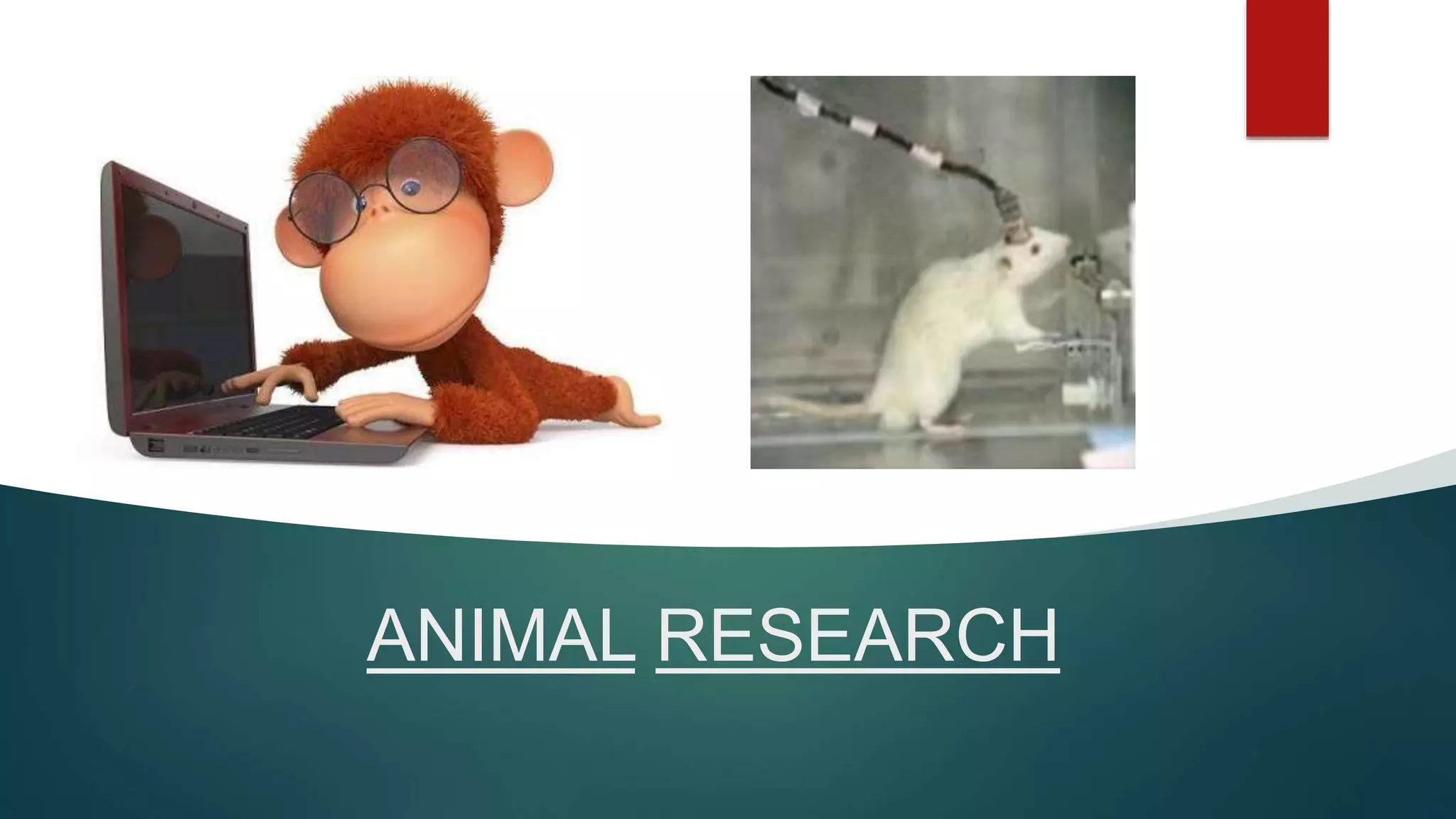 Brain gate technology | PPTX | Brain and Nervous System Disorders ...