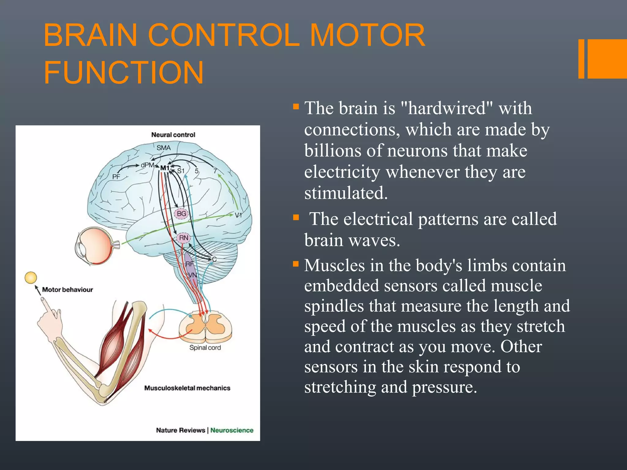Brain gate system | PPT