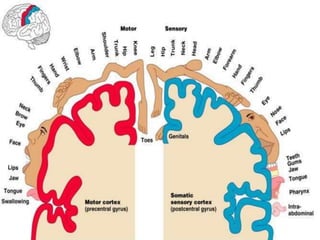 Brain gate technology | PPTX