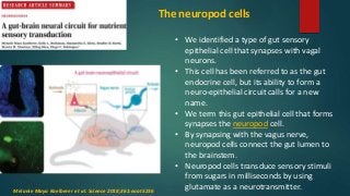 The Brain gut axis | PPTX