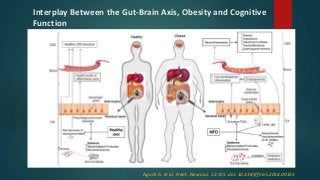 The Brain gut axis | PPTX