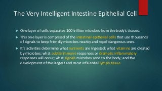 The Brain gut axis | PPTX