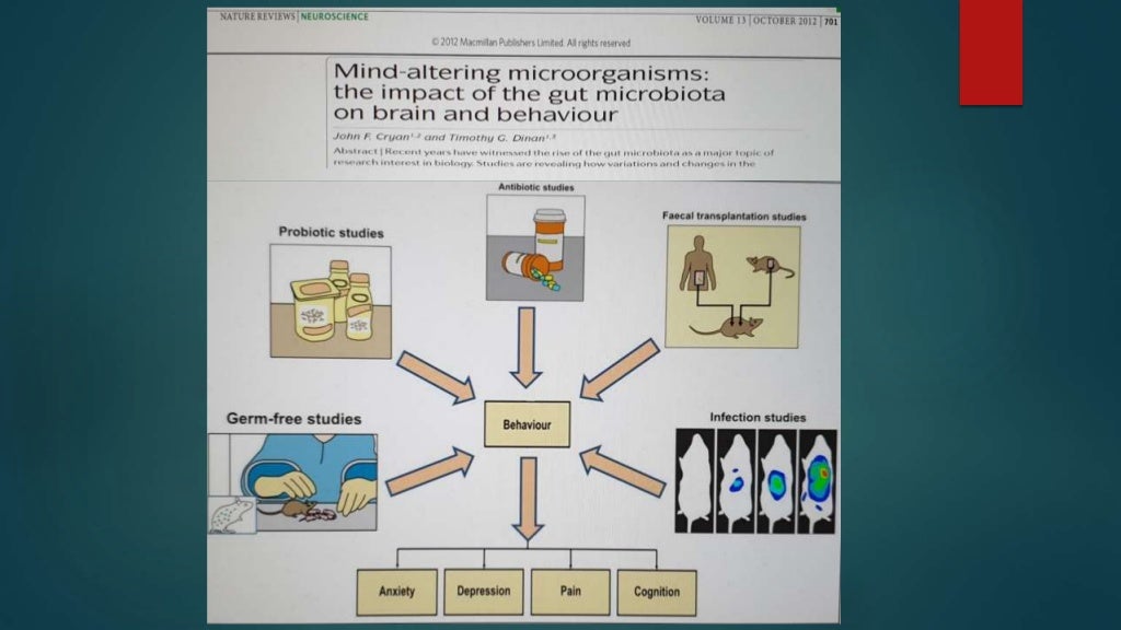 The Brain gut axis | PPT