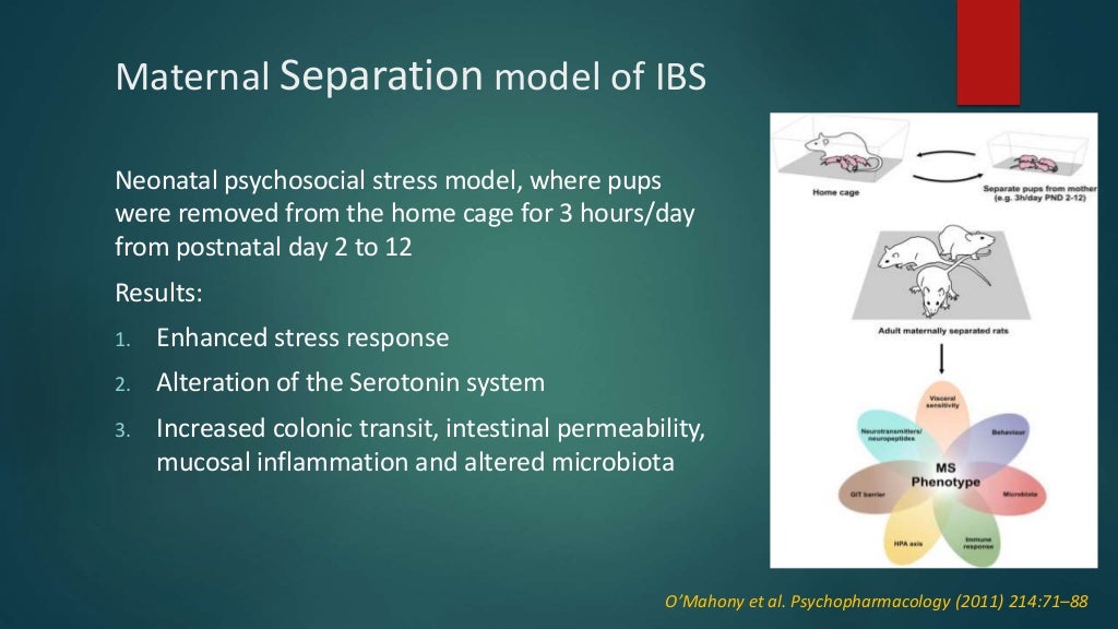 The Brain gut axis | PPT