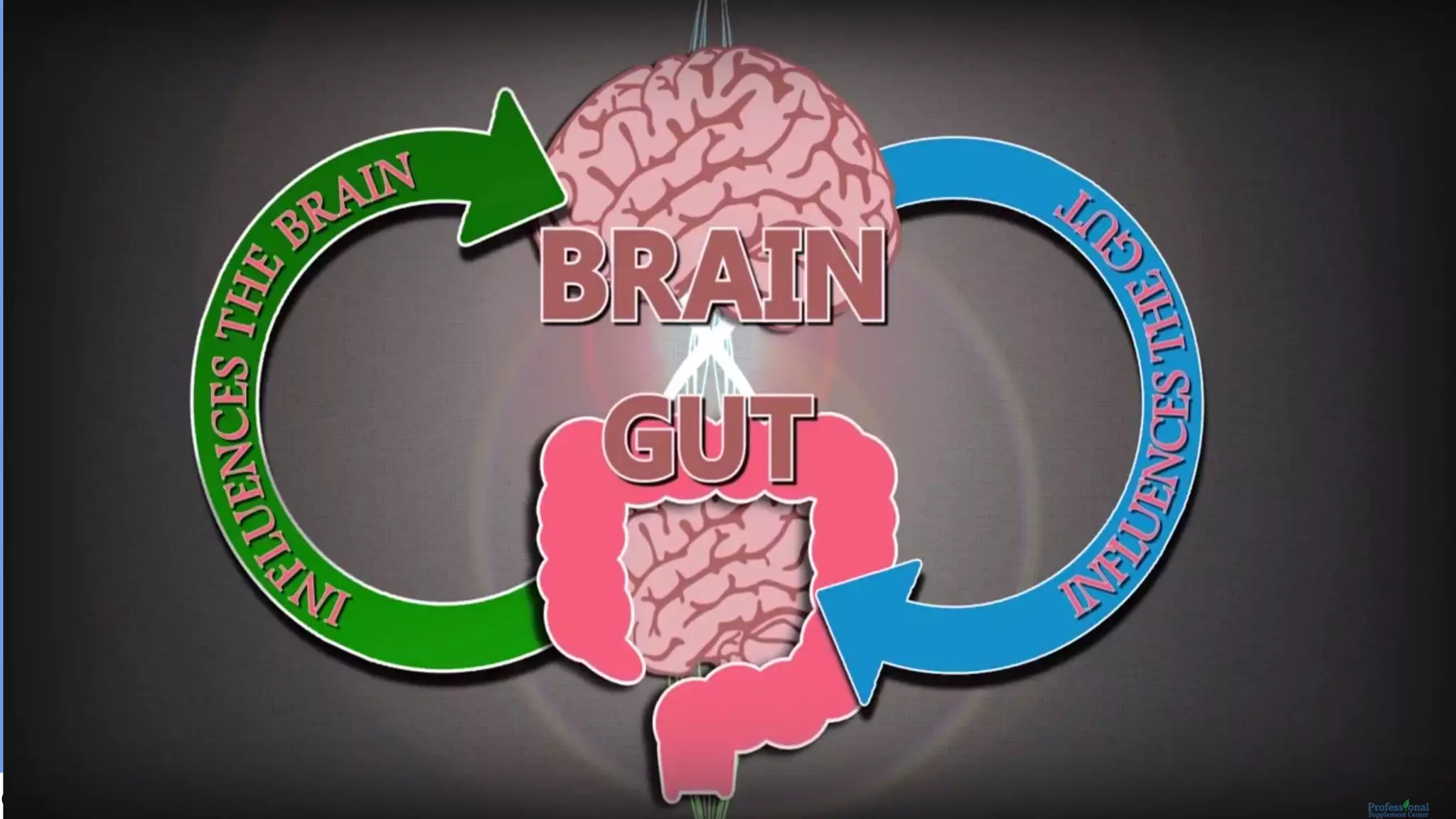 Brain gut connections(1) | PDF