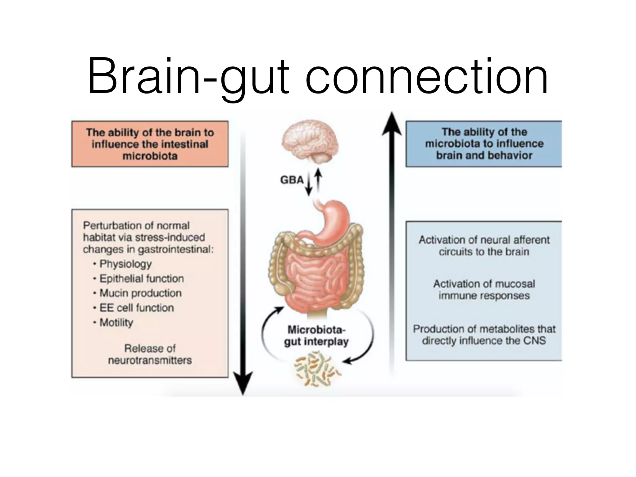 Brain Hacking 101 | PPT