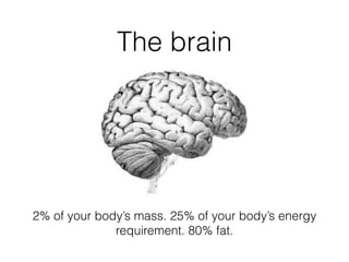 Brain Hacking 101 | PPT