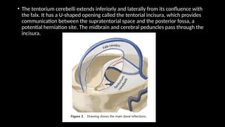 Imaging Brain Herniation RADIOLOGY .pptx