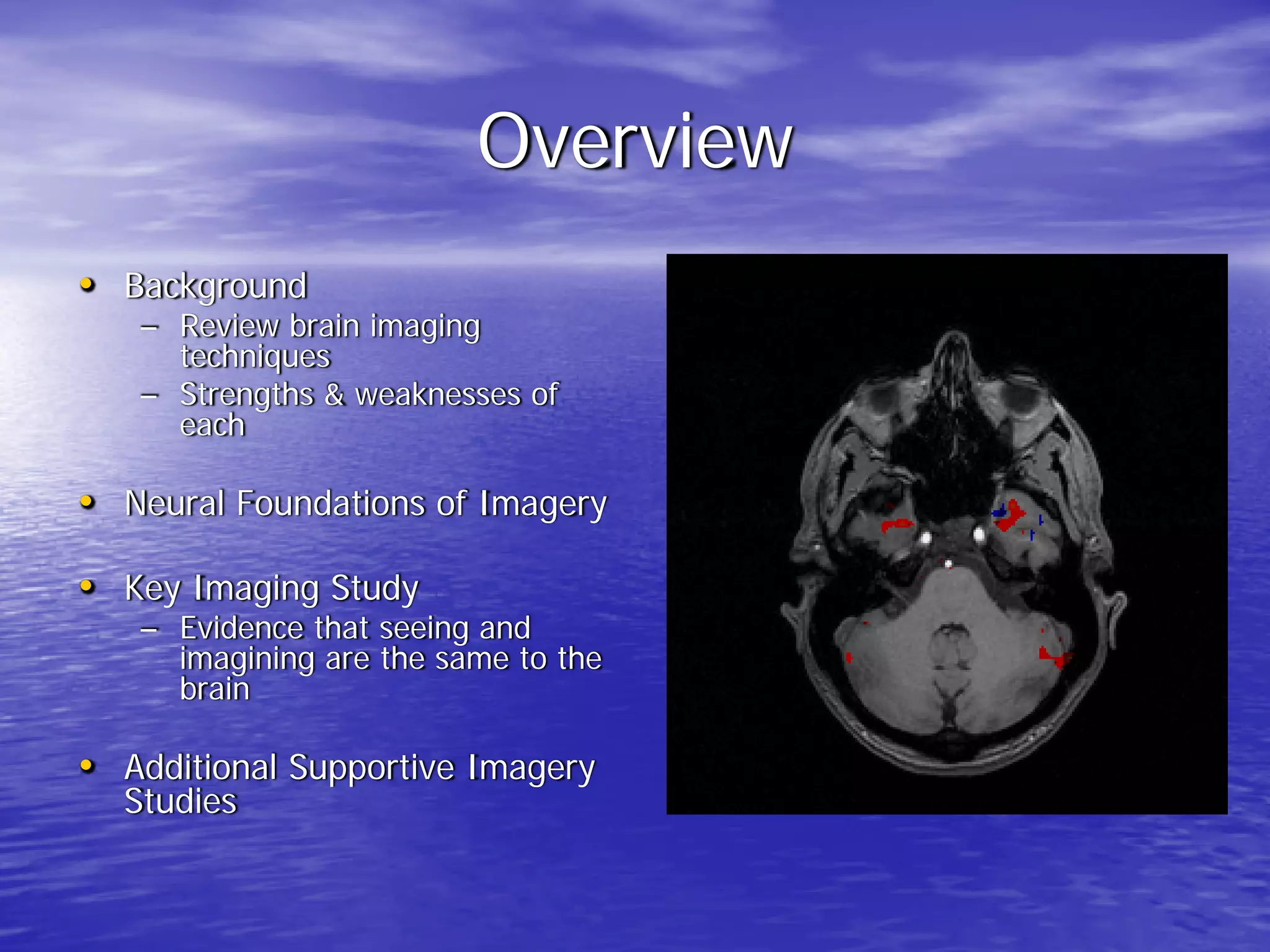 Brain Imaging & Imagining Final | PDF