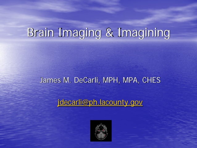 Brain Imaging & Imagining Final | PDF