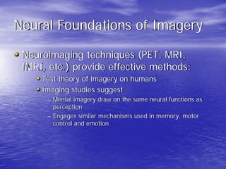 Brain Imaging & Imagining Final | PDF