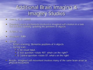 Brain Imaging & Imagining Final | PDF