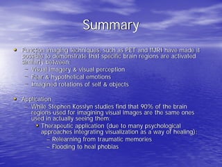 Brain Imaging & Imagining Final | PDF