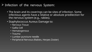 Brain Infections causes, diagnosis and treatment.pptx