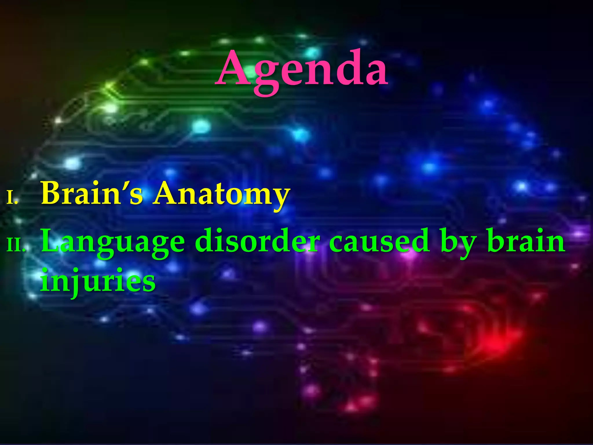 Brain injuries and language disorder | PPTX