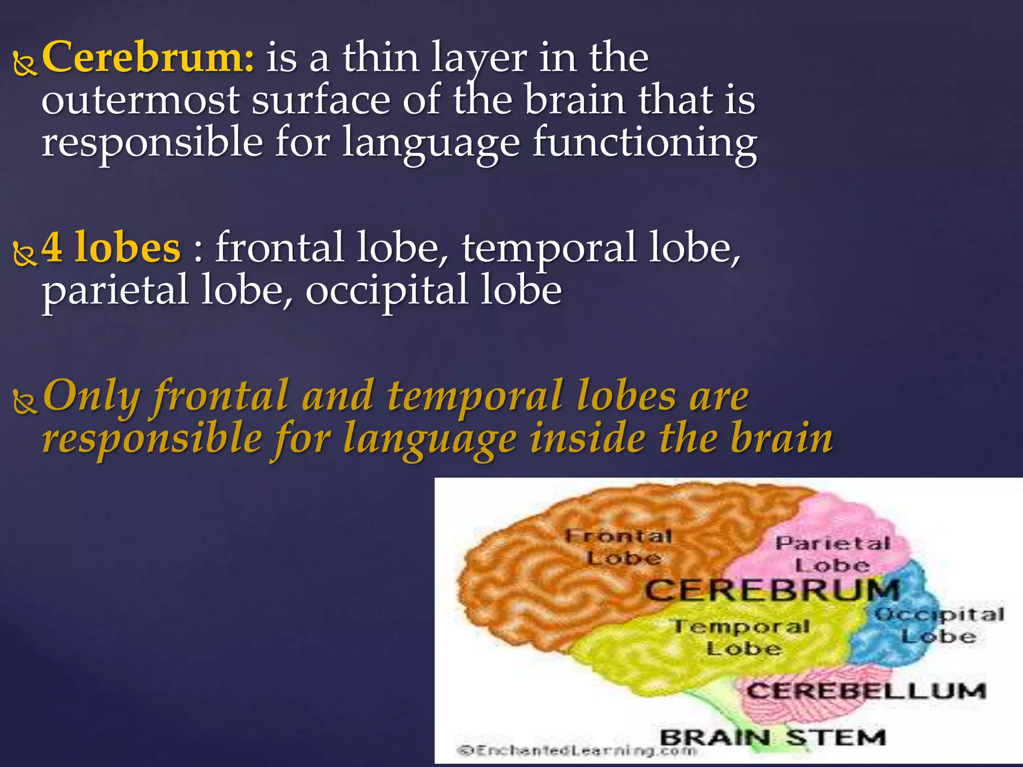 Brain injuries and language disorder | PPTX