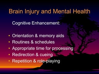 Brain injury and mental health 2010[1].pptx bisno | PPTX