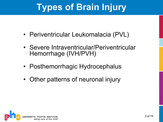 Brain Injury in Pre-Term Infants | PDF | Brain and Nervous System ...