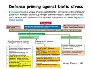 Brain in plant | PPT